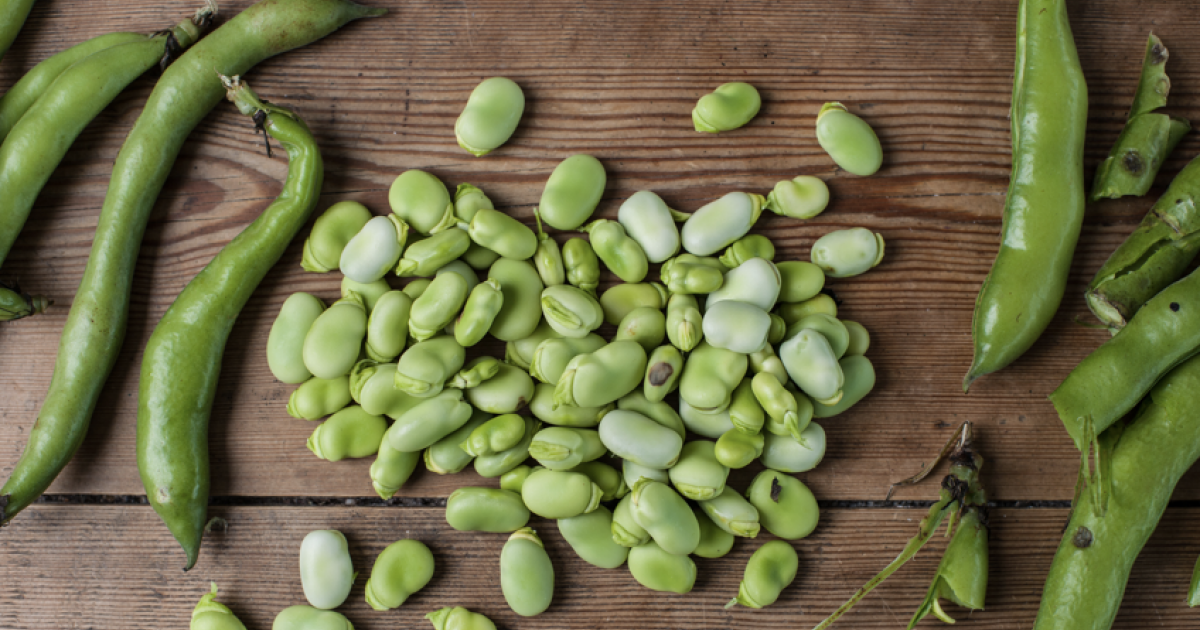 Full Beans Ahead | Groobarb's Wild Farm