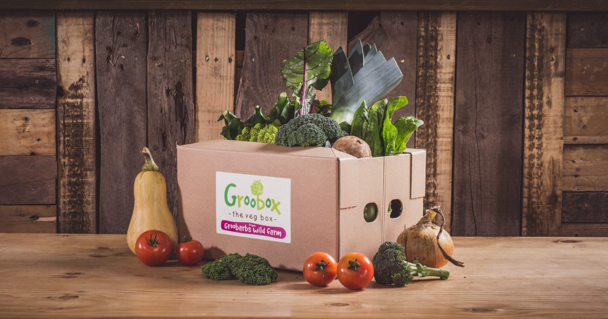 X-Small Veg Box | Groobarb's Wild Farm