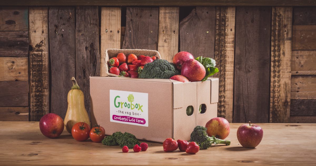 X-Small Fruit & Veg Box | Groobarb's Wild Farm