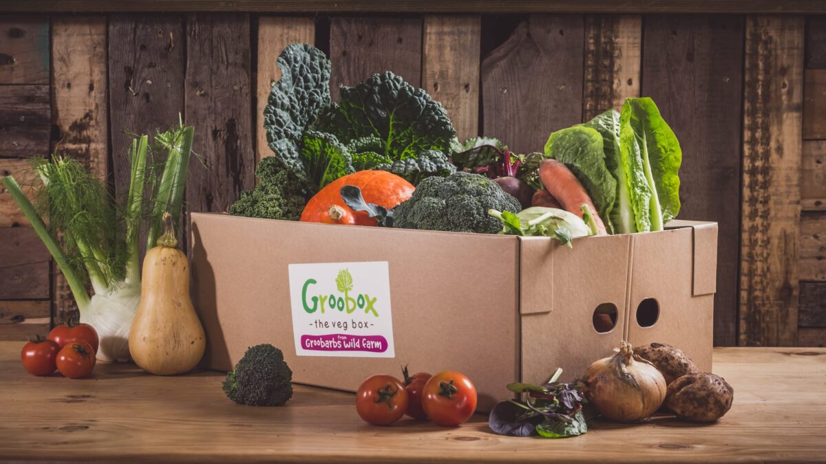 The Farm | Making farming fun | Groobarb's Wild Farm