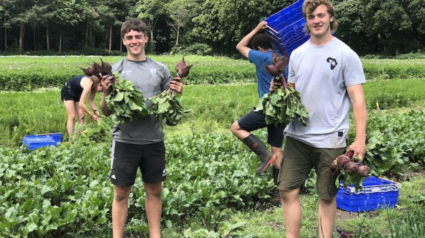 The Farm | Making farming fun | Groobarb's Wild Farm