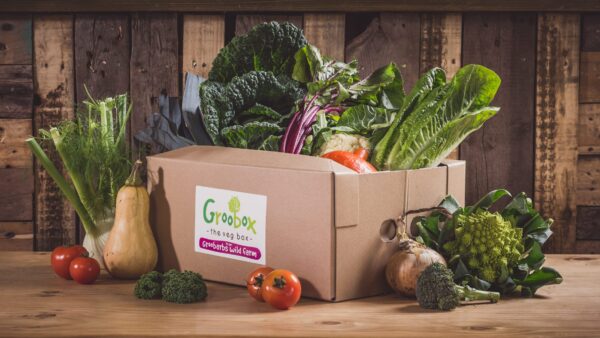 Veg Boxes | Groobarb's Wild Farm