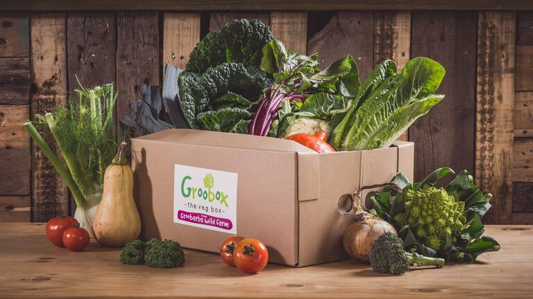 Small Veg Box | Groobarb's Wild Farm