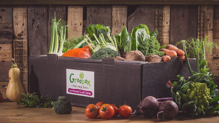Large Veg Box | Groobarb's Wild Farm