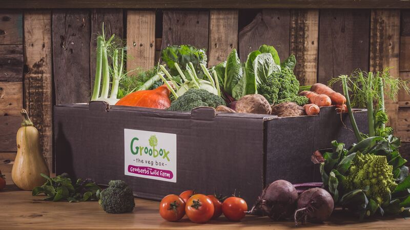 Veg Boxes | Groobarb's Wild Farm