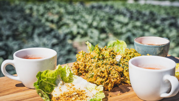 Field Kitchen | Groobarb's Wild Farm