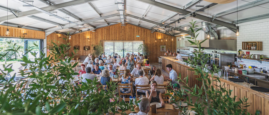 Field Kitchen | Groobarb's Wild Farm