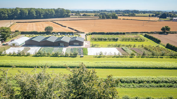 Field Kitchen | Groobarb's Wild Farm