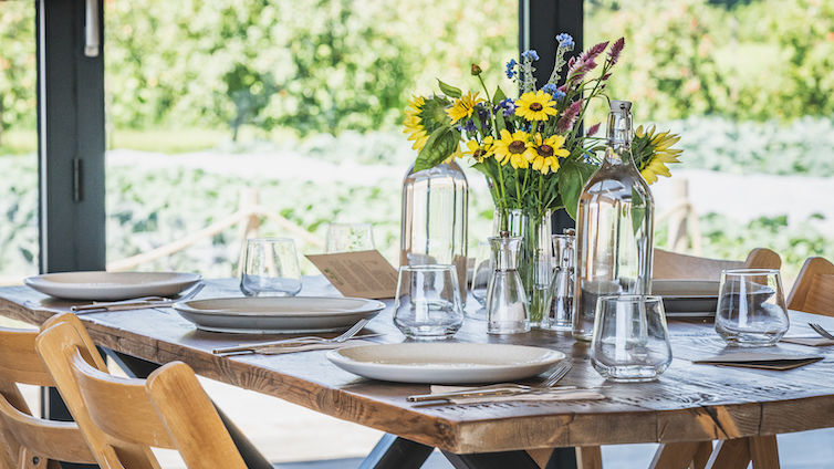 Field Kitchen | Groobarb's Wild Farm