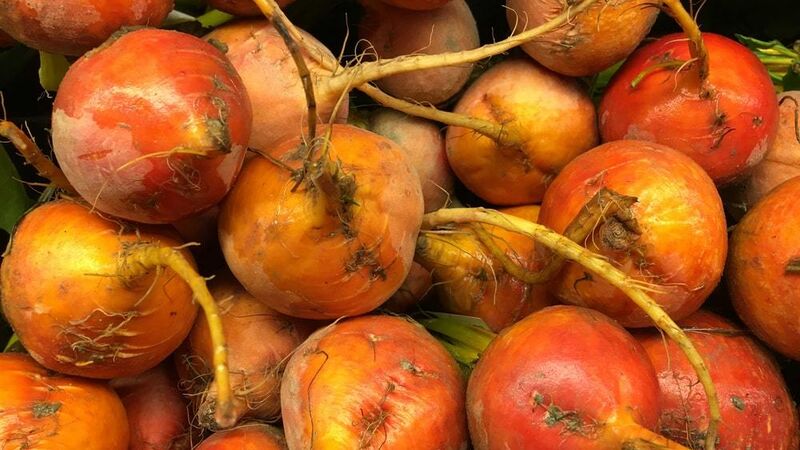 Salt Baked Golden Beetroot with Smoked Labneh & Crispy Capers ...